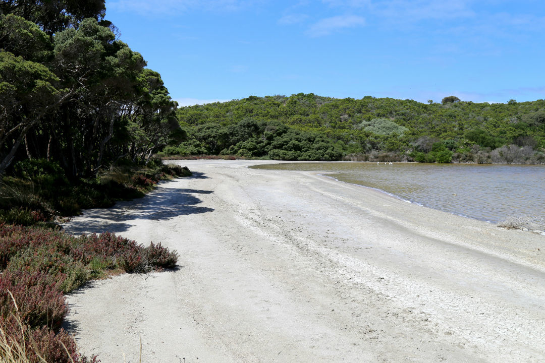 Department for Environment and Water - Hop into nature this Easter