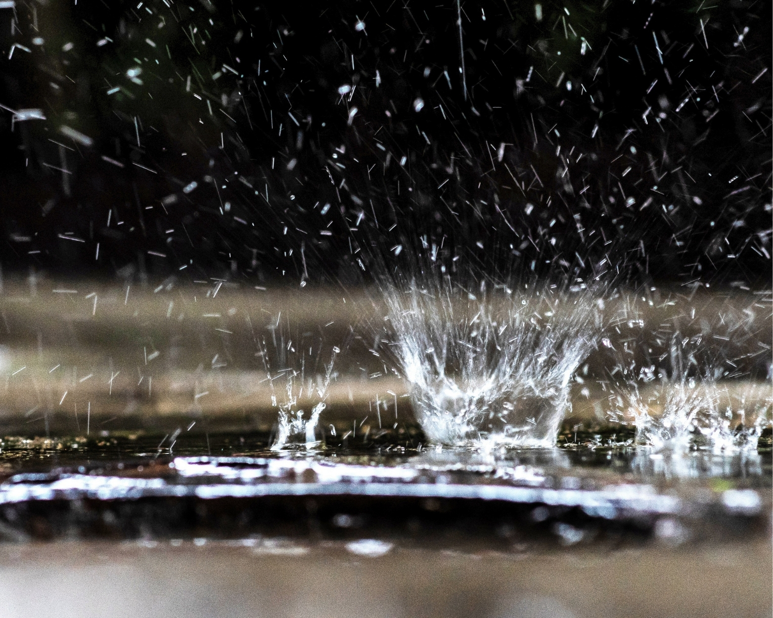 Department for Environment and Water - Capturing rainwater