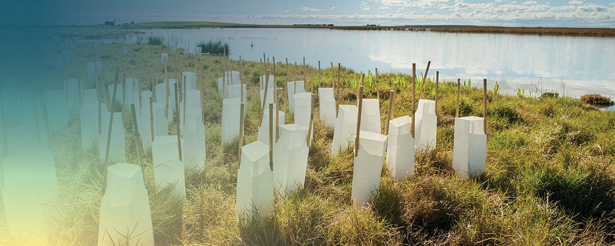 Department for Environment and Water - 2026 SA Climate Leaders Awards