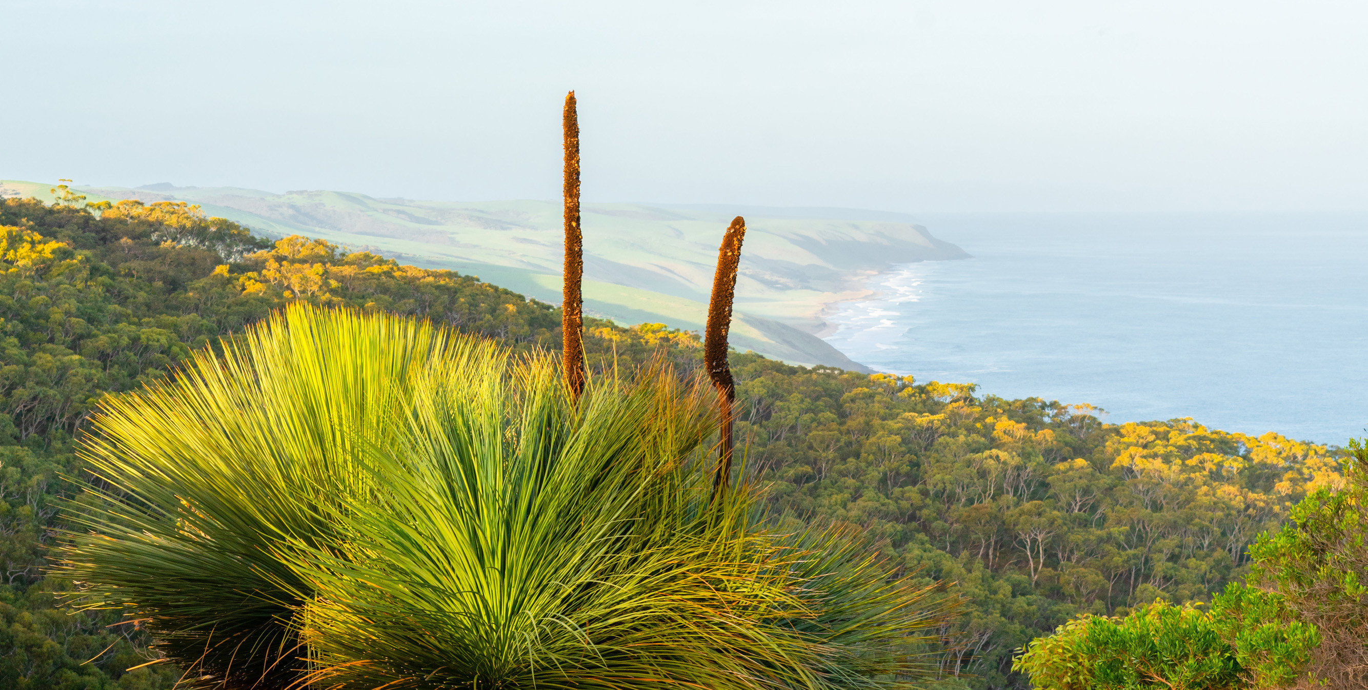 Department for Environment and Water - South Australia's…