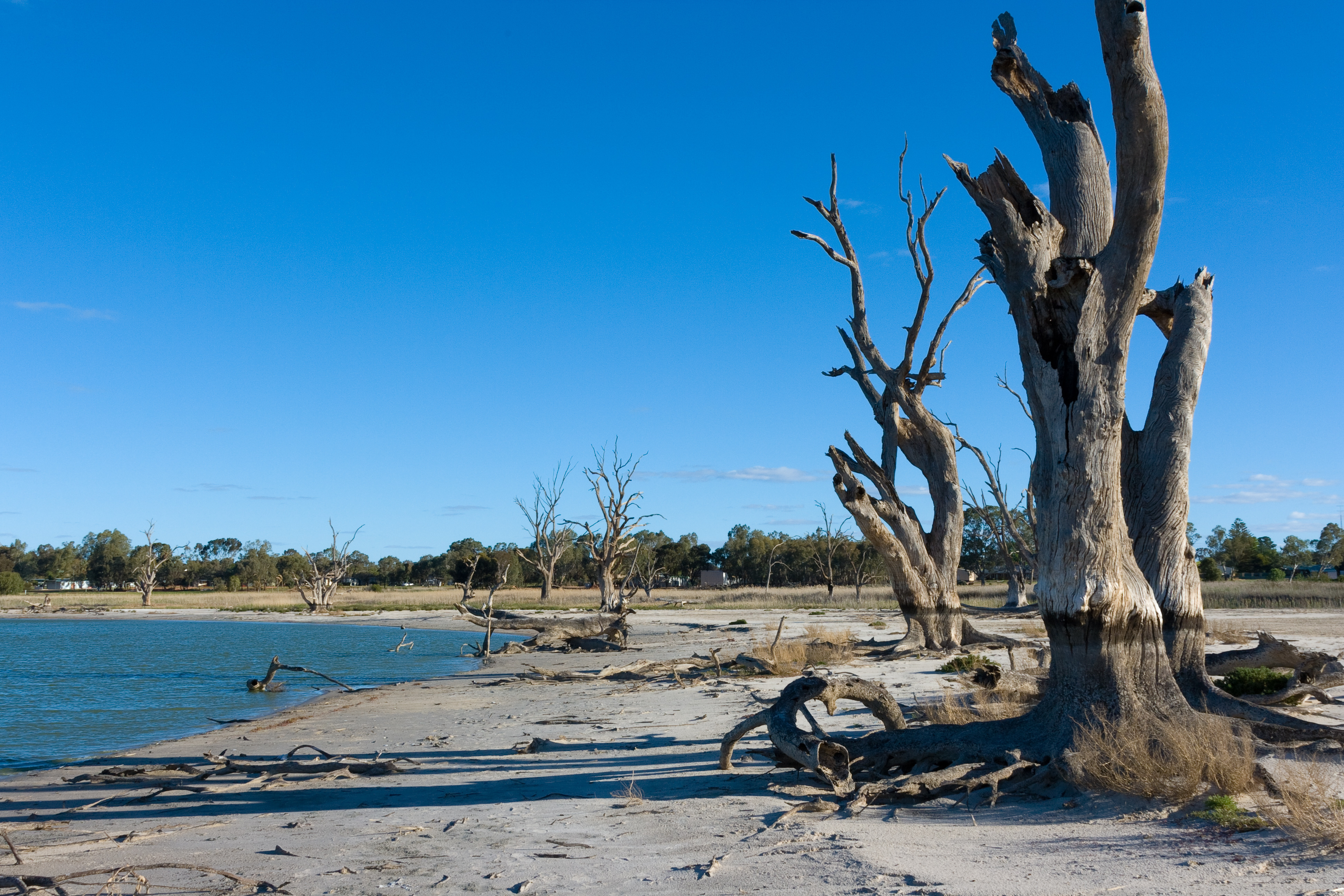 Department for Environment and Water - River Murray droughts