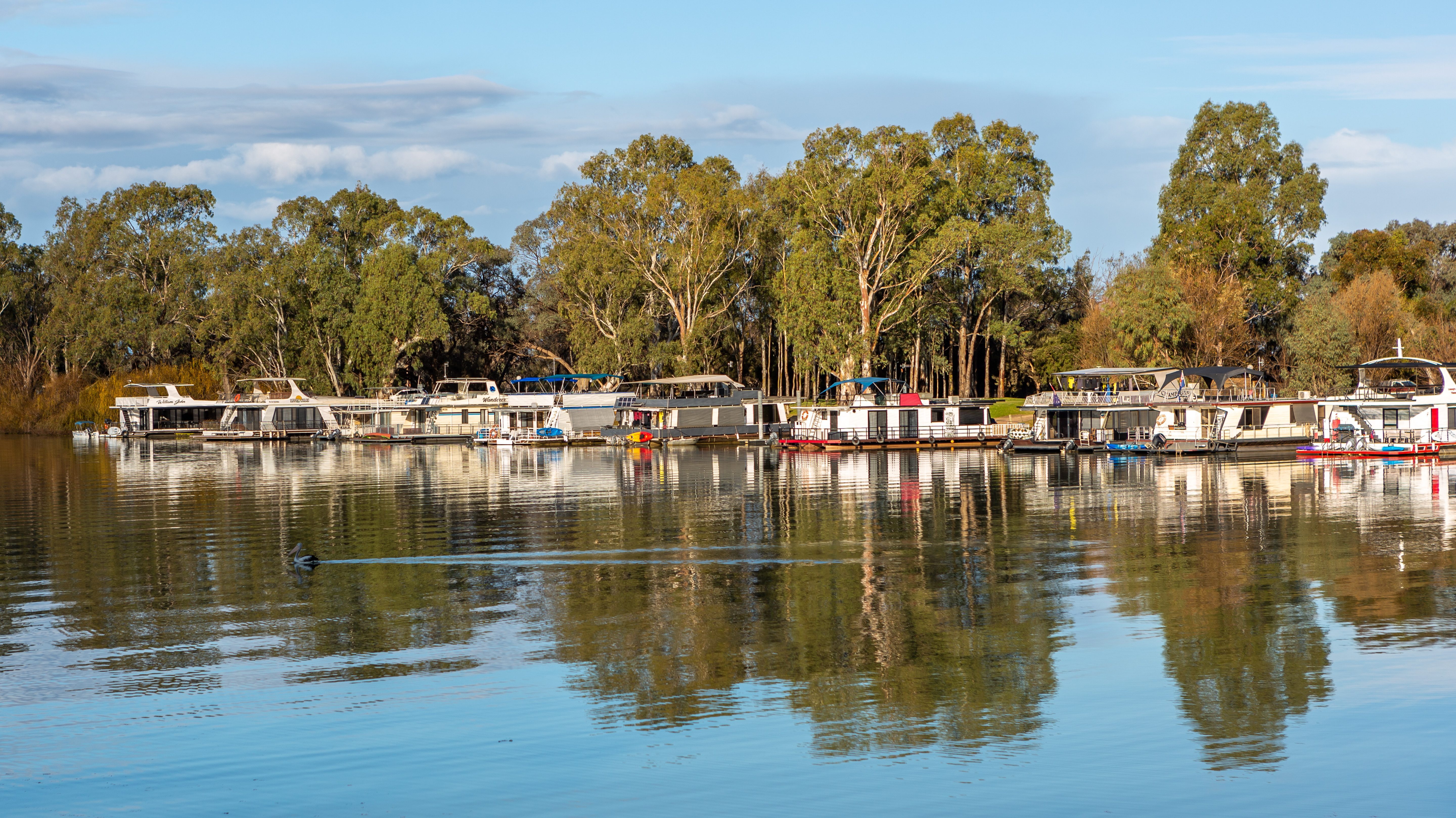 Department for Environment and Water - Basin Plan