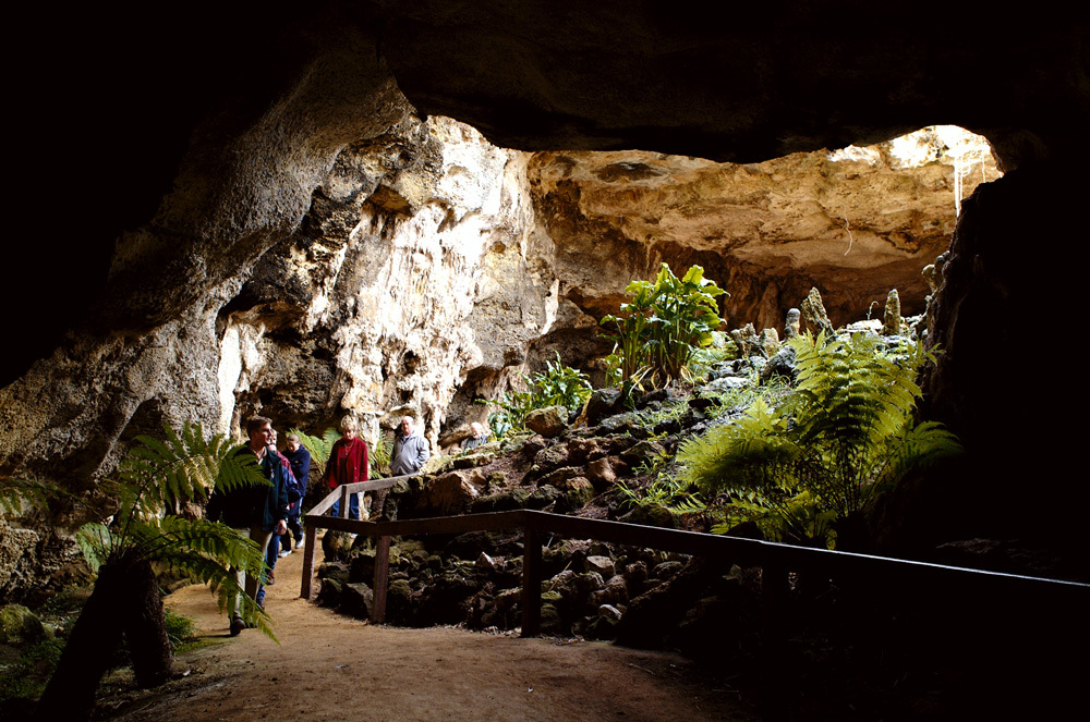Department for Environment and Water - Naracoorte Caves in the…