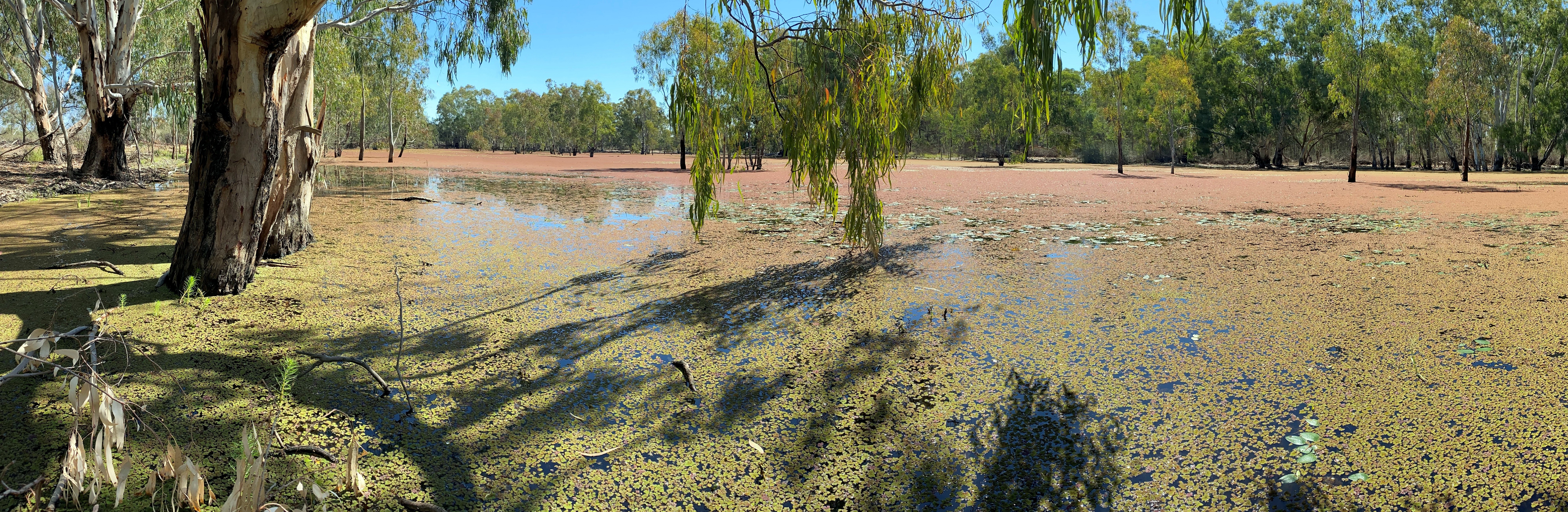 Department for Environment and Water - Chowilla Floodplain