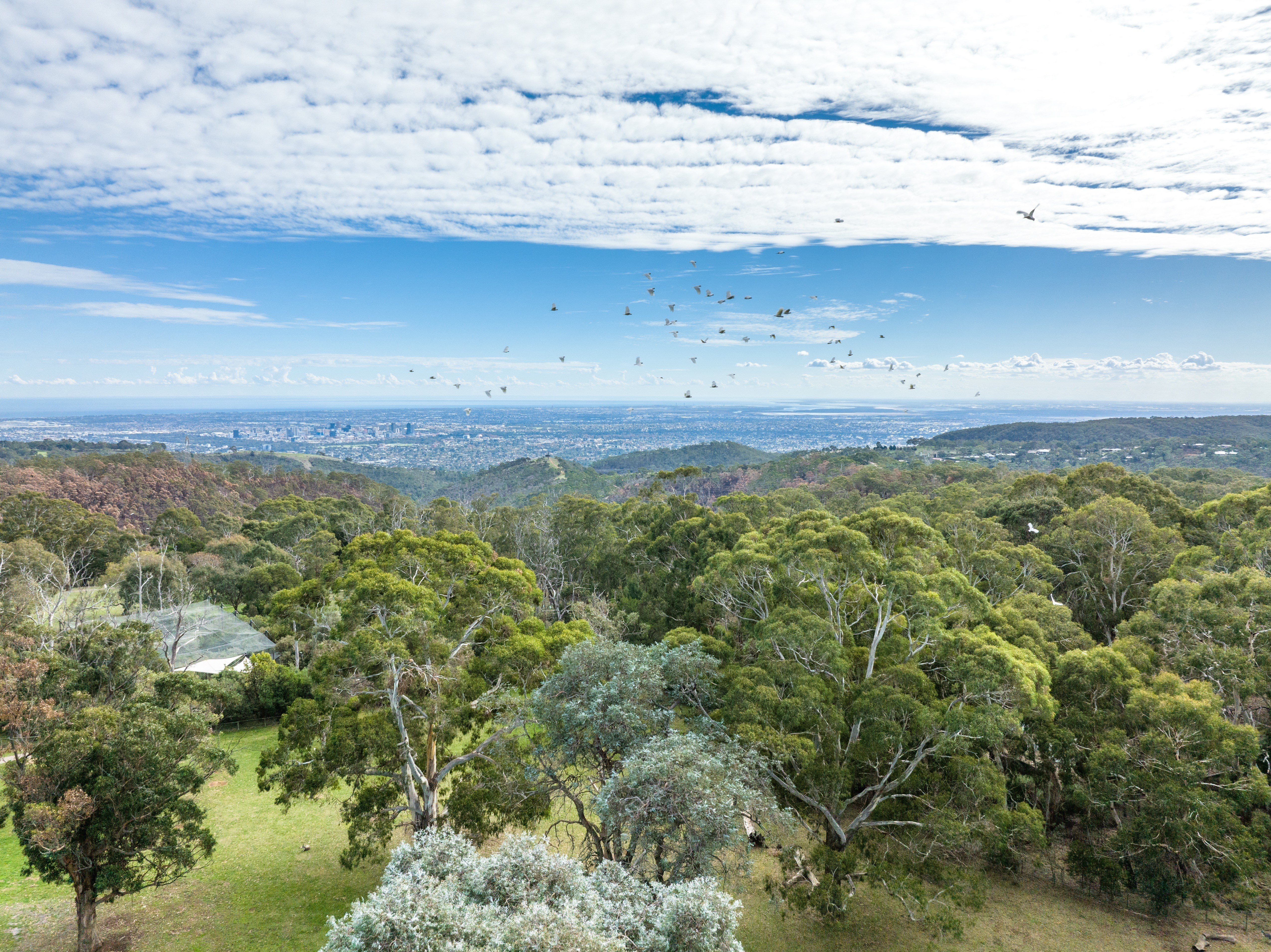Department for Environment and Water - Home