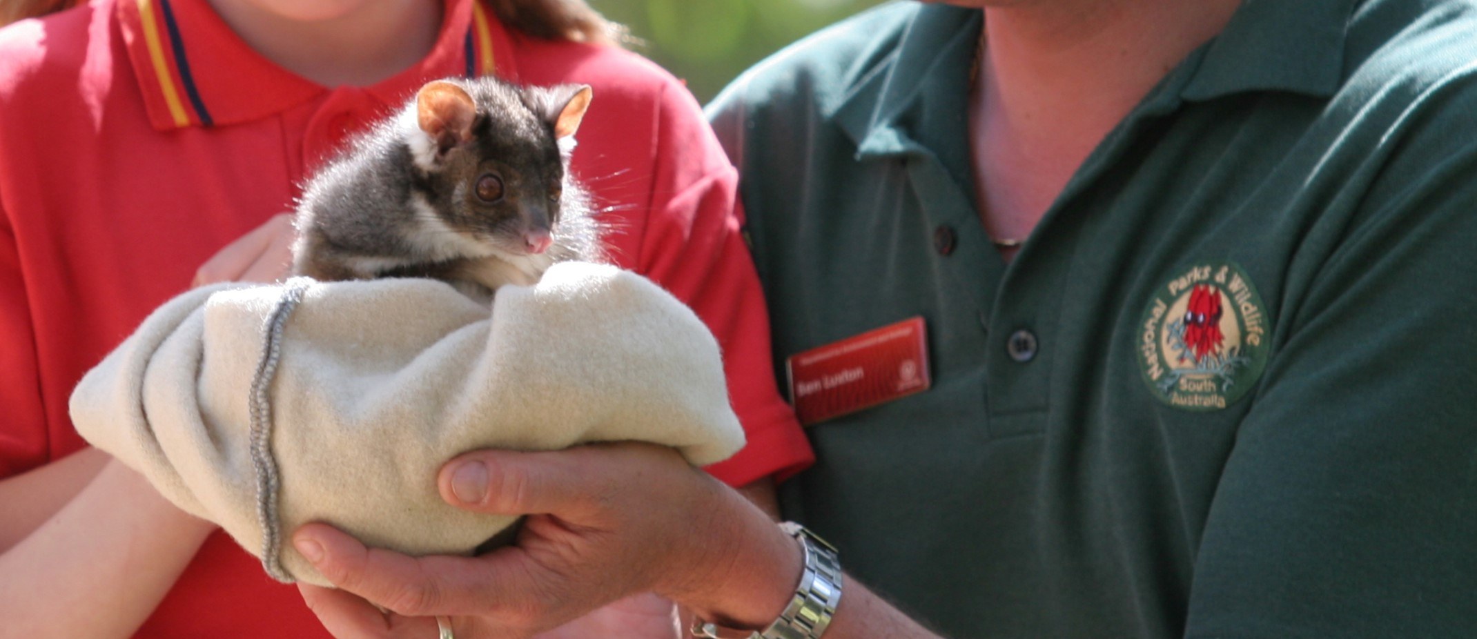 Department for Environment and Water - Helping and protecting wildlife