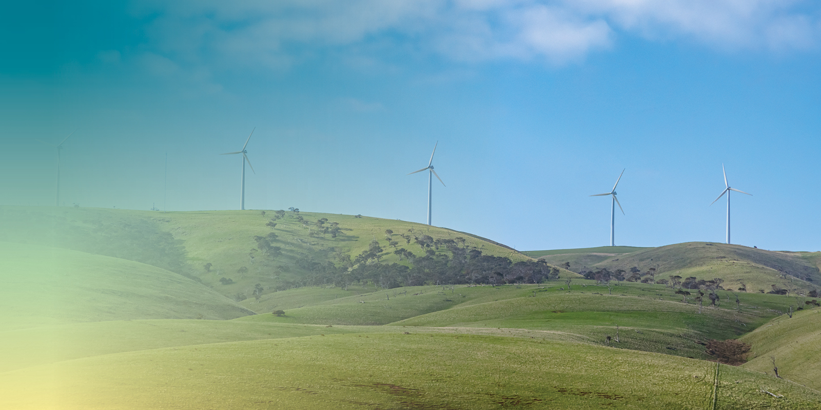Department for Environment and Water - SA Climate Leaders Awards
