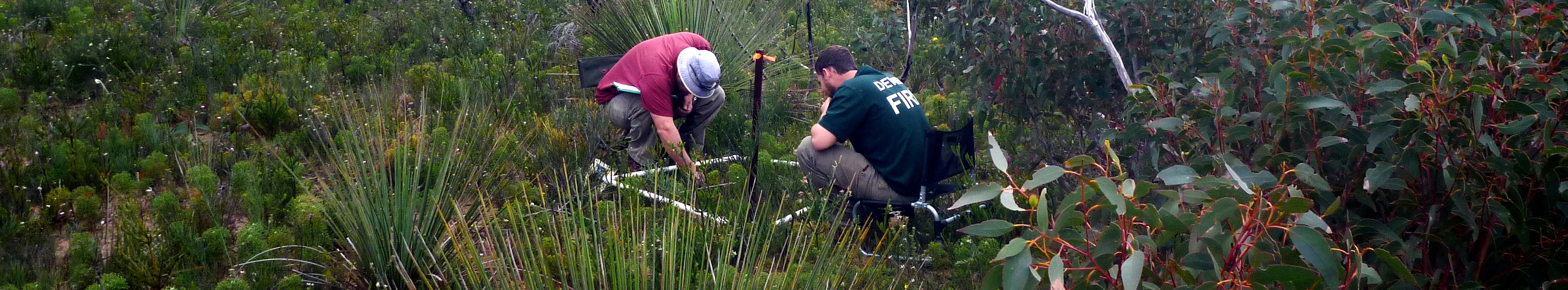 Department for Environment and Water - Collaborating on fire research