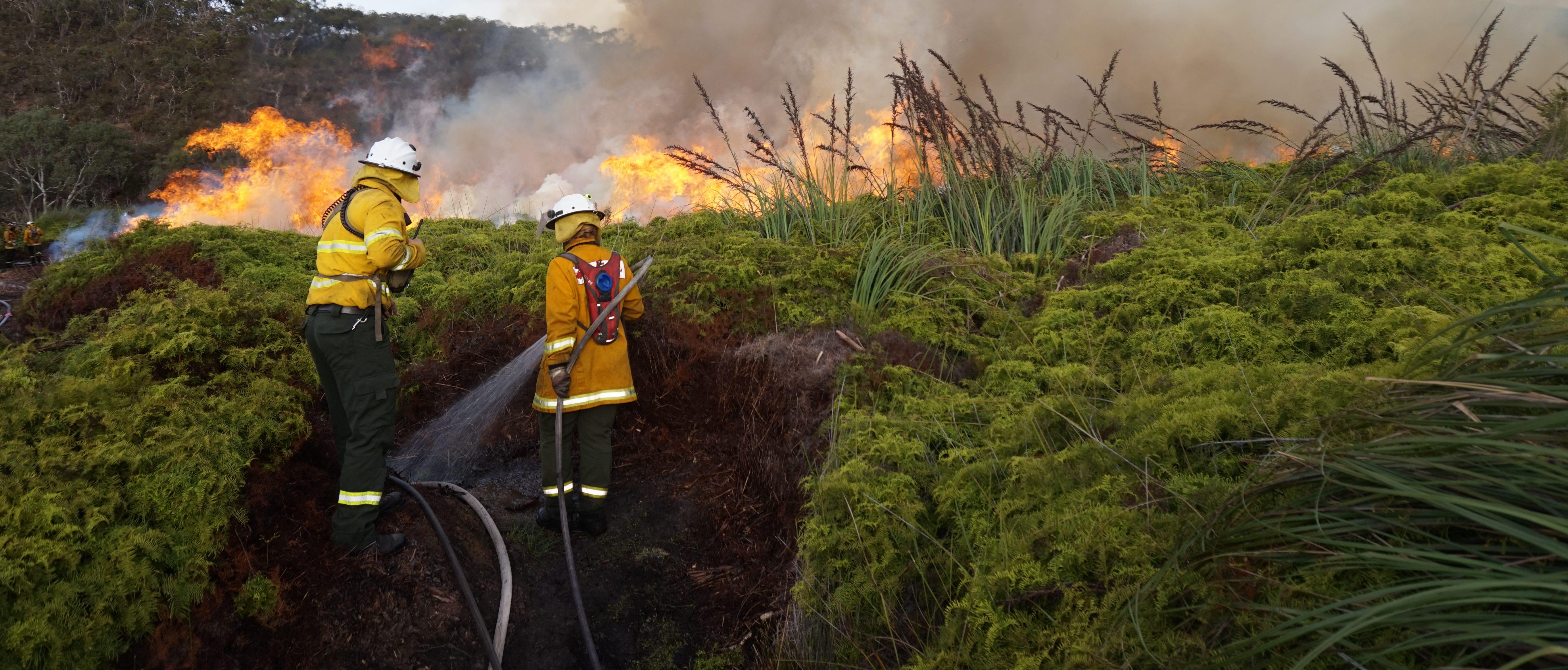 Department for Environment and Water - Using fire to improve…