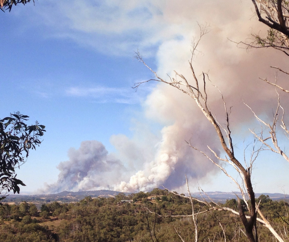 Department for Environment and Water - Adelaide and Mount Lofty…