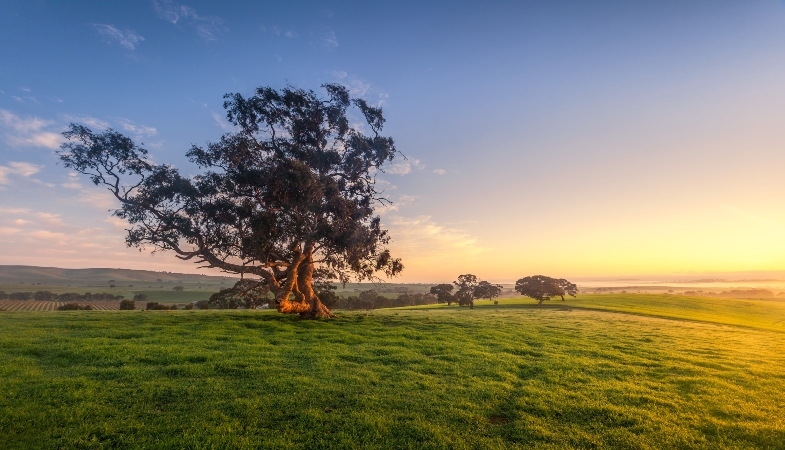 Department for Environment and Water - Independent review of the…