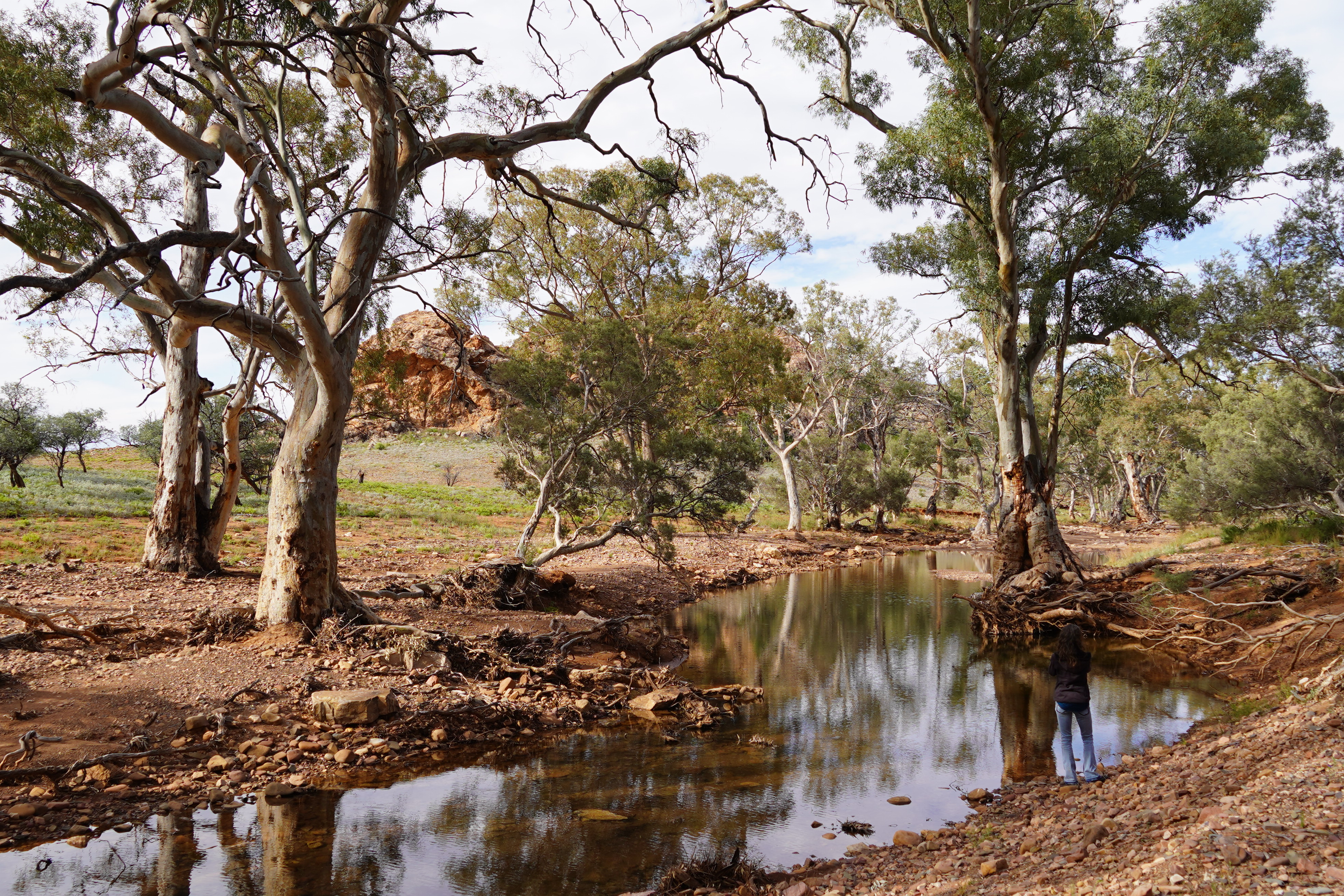 Department for Environment and Water - First Nations water planning…