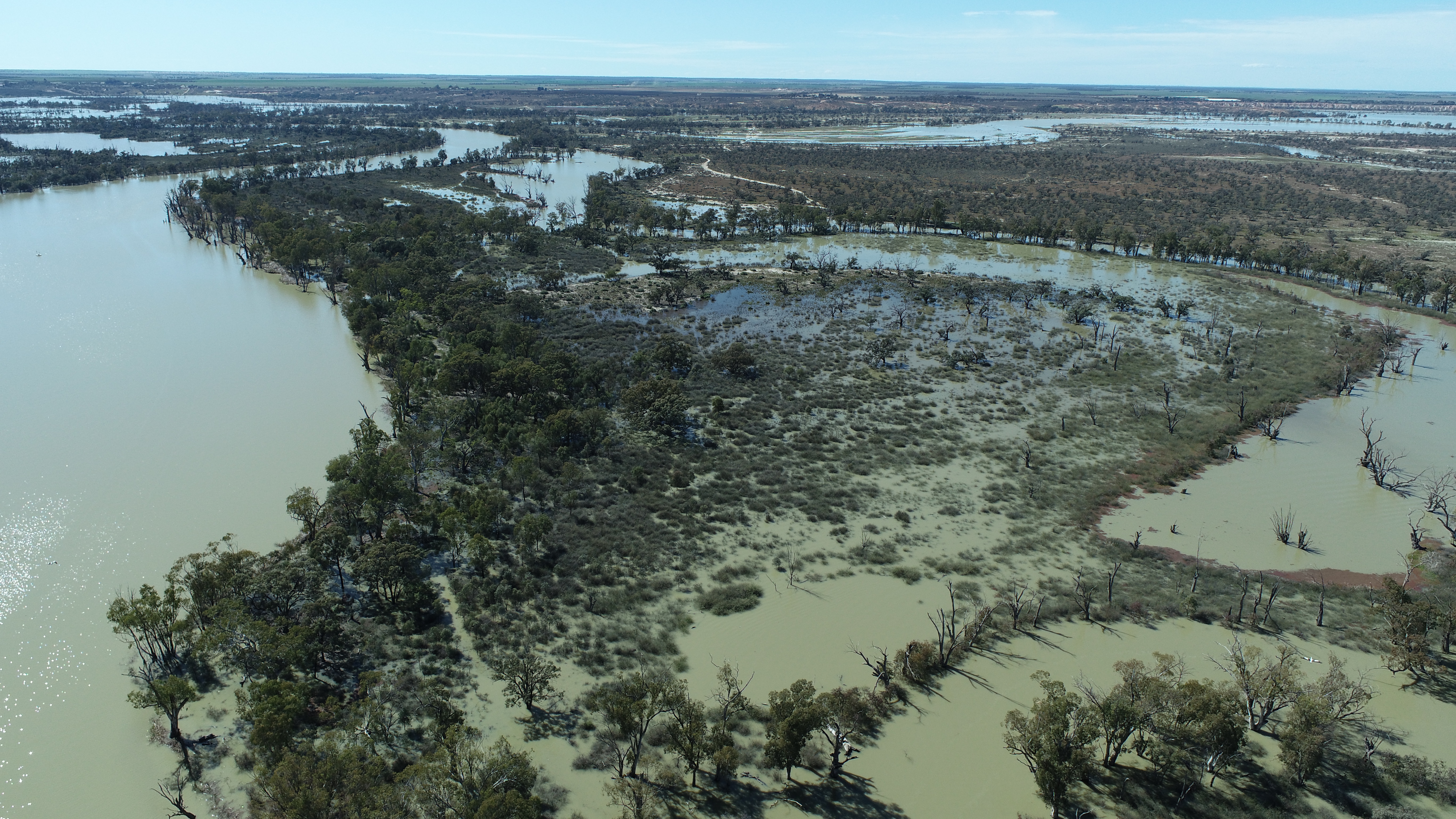 Department for Environment and Water - 2022-23 River Murray flood…
