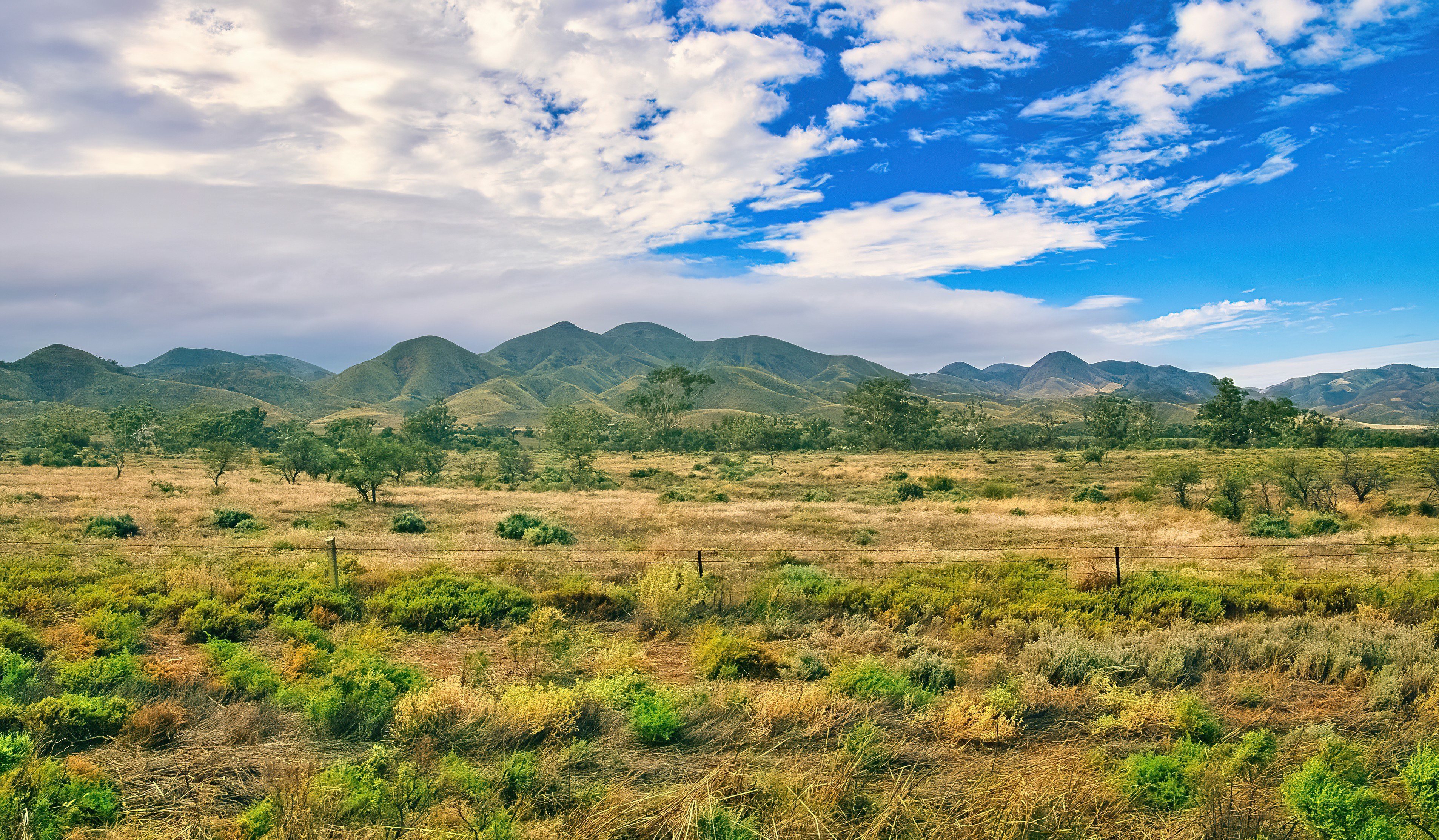 Department for Environment and Water - SEB credit