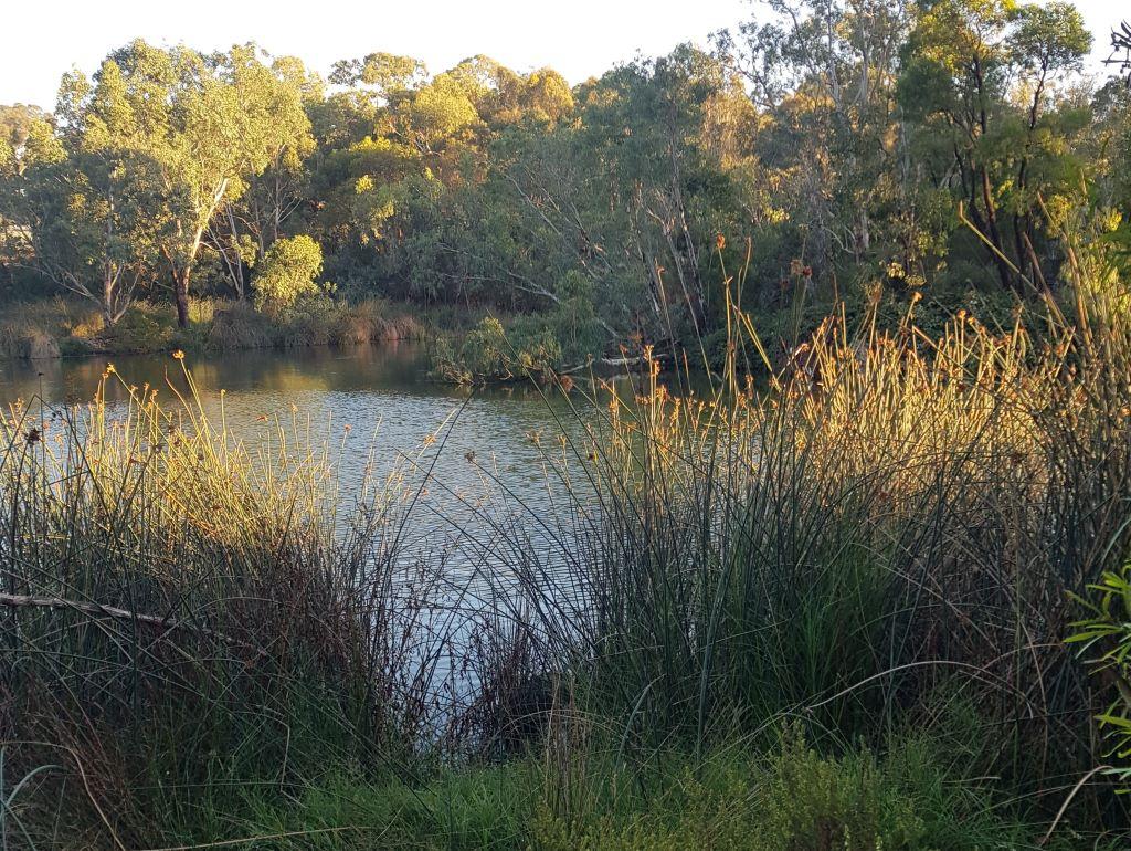 Department for Environment and Water - Native Vegetation SEB Credit…