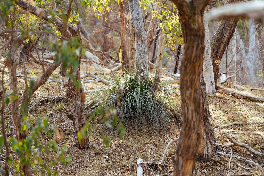 Department for Environment and Water - Native Vegetation Heritage…