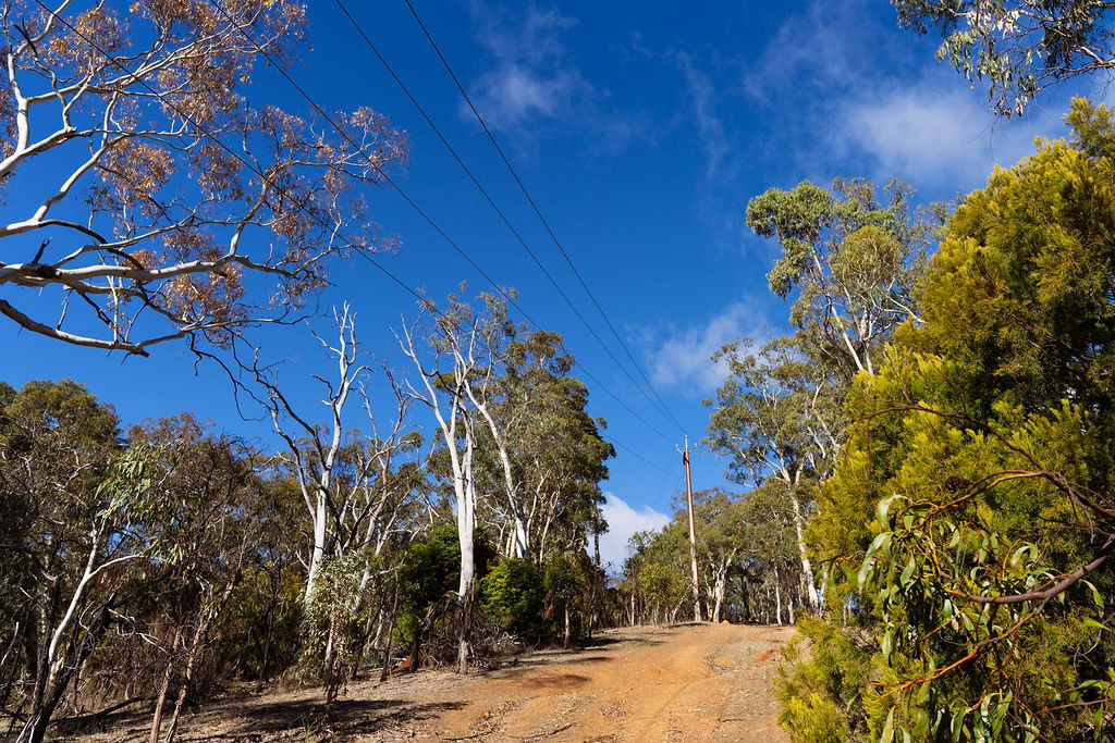 Department for Environment and Water - The application process