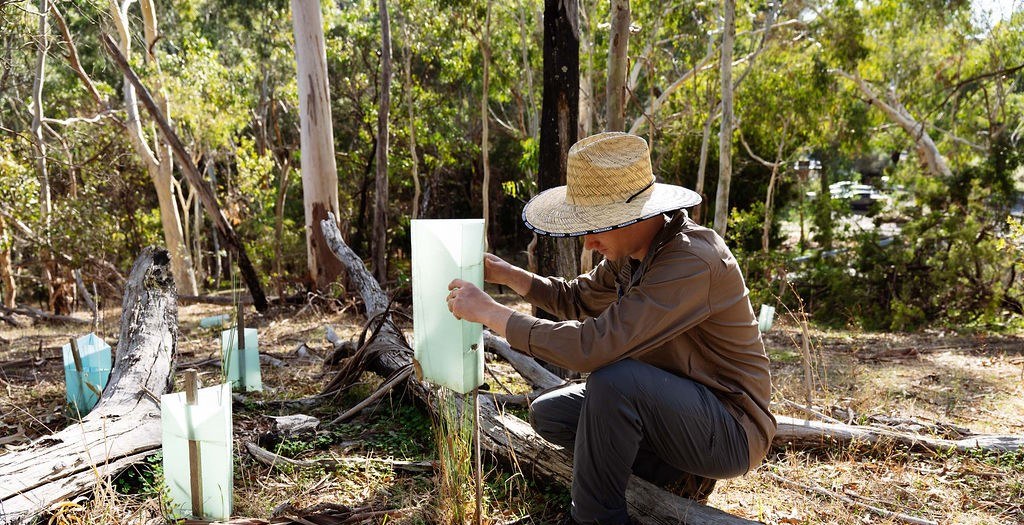 Department For Environment And Water Significant Environmental