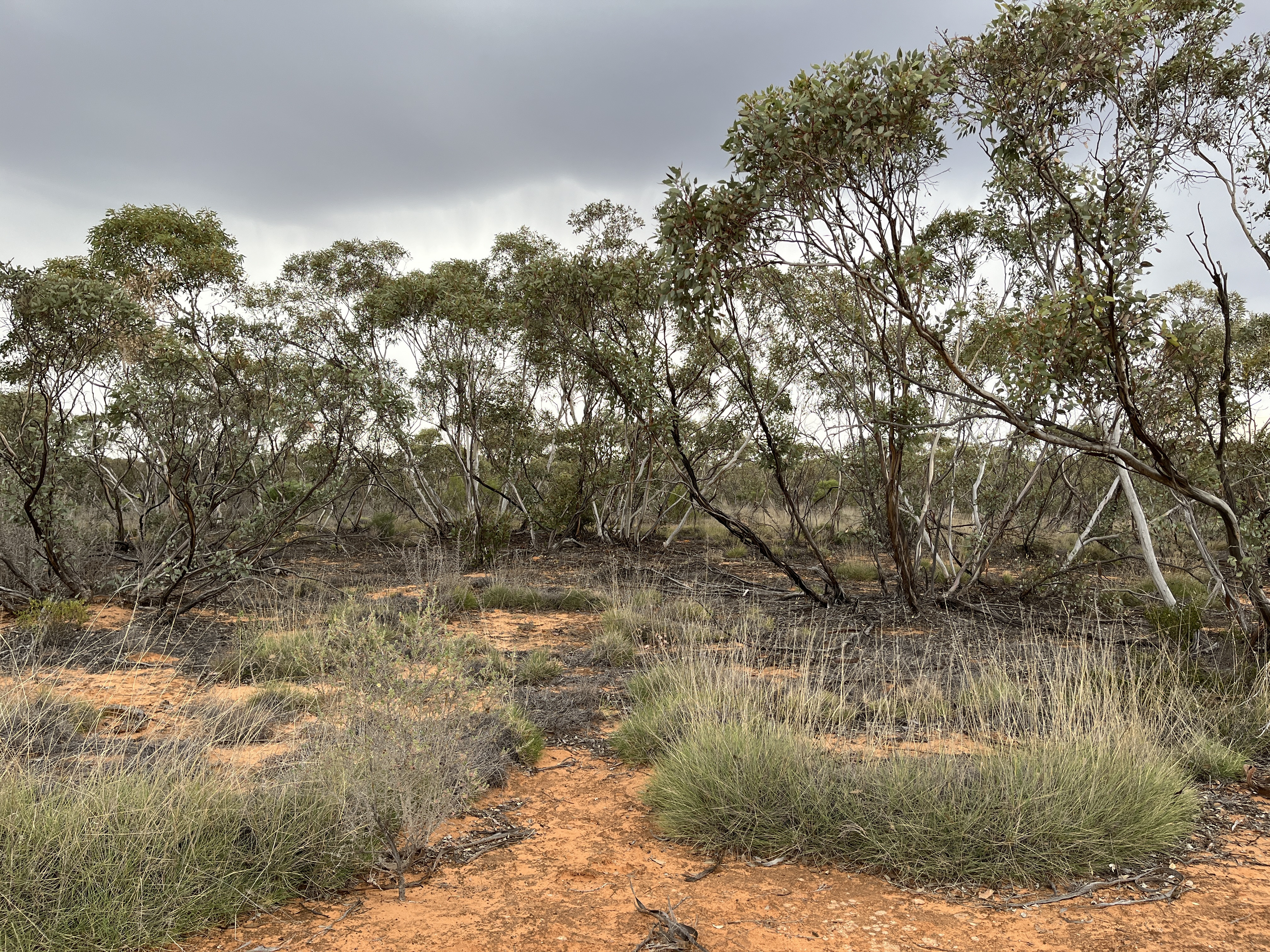 Department for Environment and Water - $9.4 million available for…