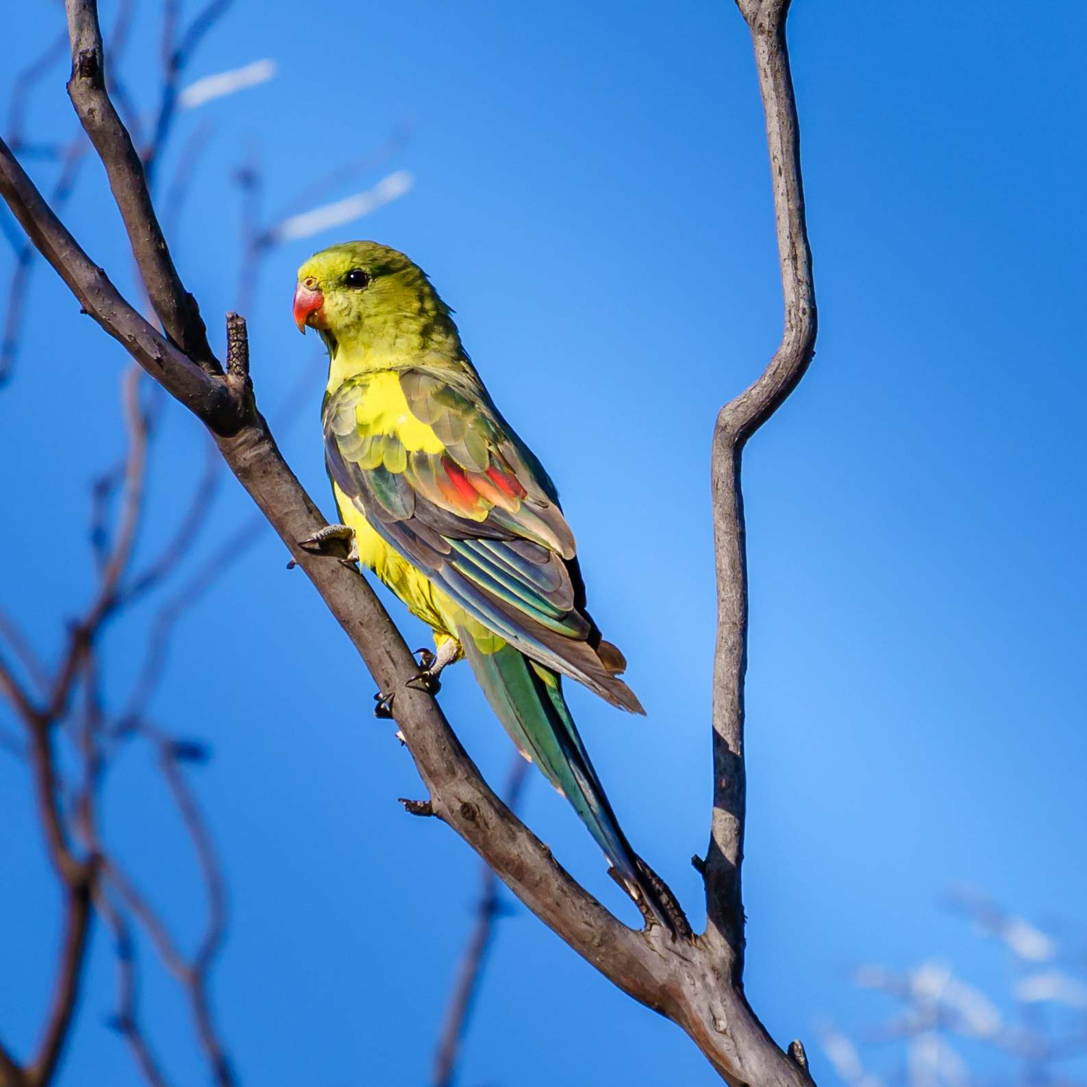 Department for Environment and Water - Expanded national parks a win…