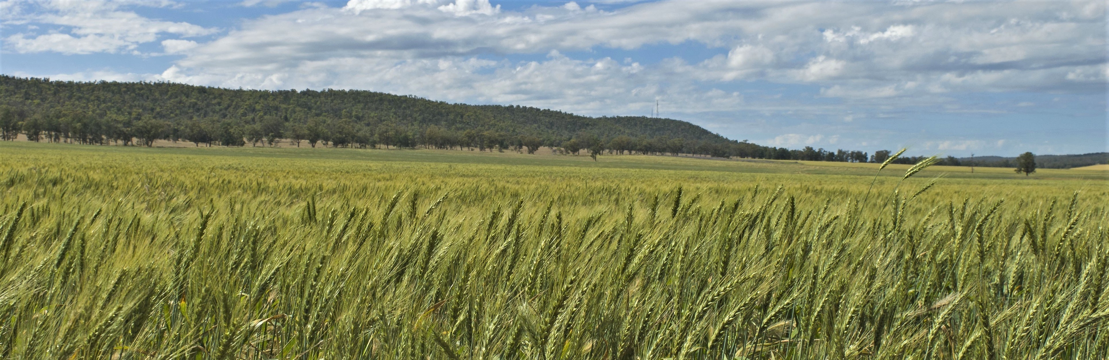 Department for Environment and Water - Sustainable soil and land…