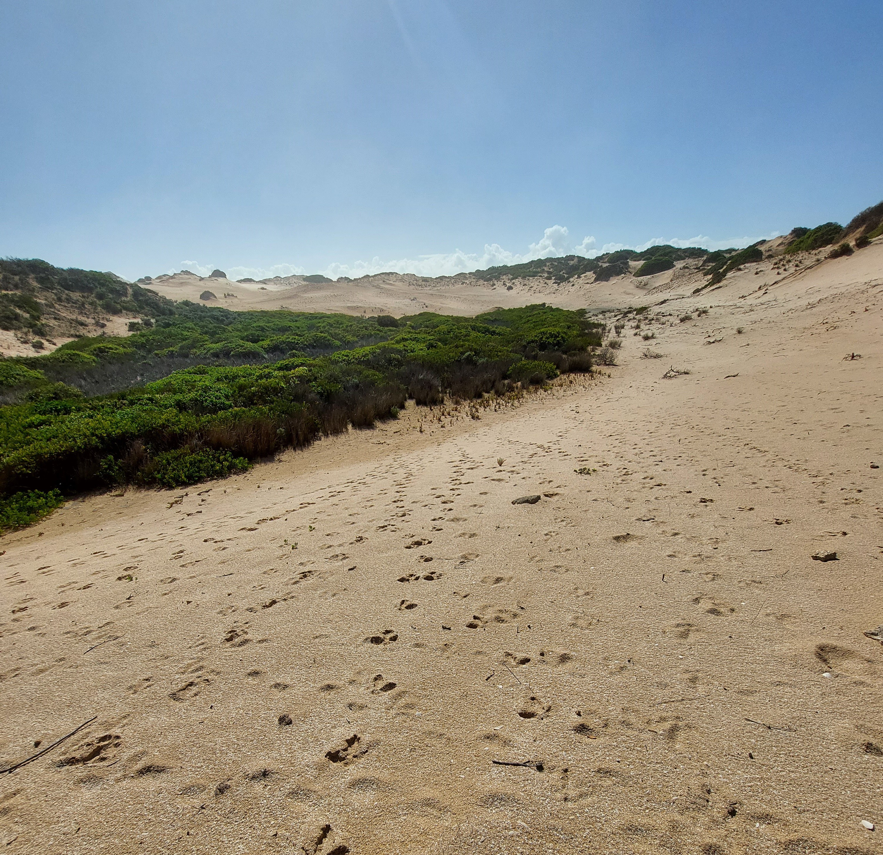 Department for Environment and Water - Viewing new knowledge through…