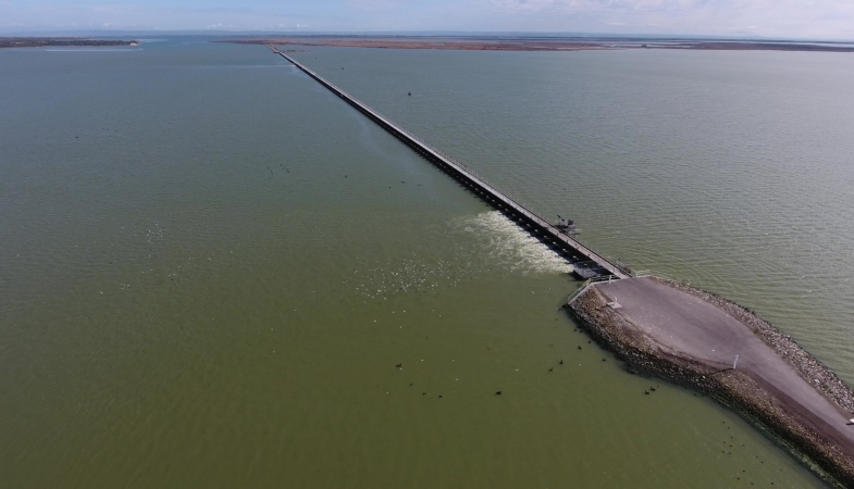 Department for Environment and Water - Lower Lakes and barrages