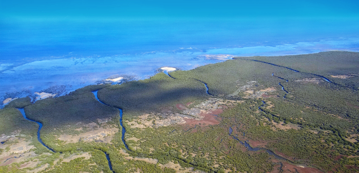 Department for Environment and Water - Blue Carbon