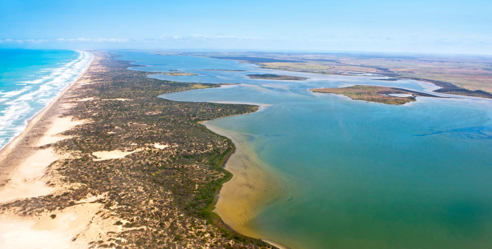 Department for Environment and Water - Test results confirm Coorong…