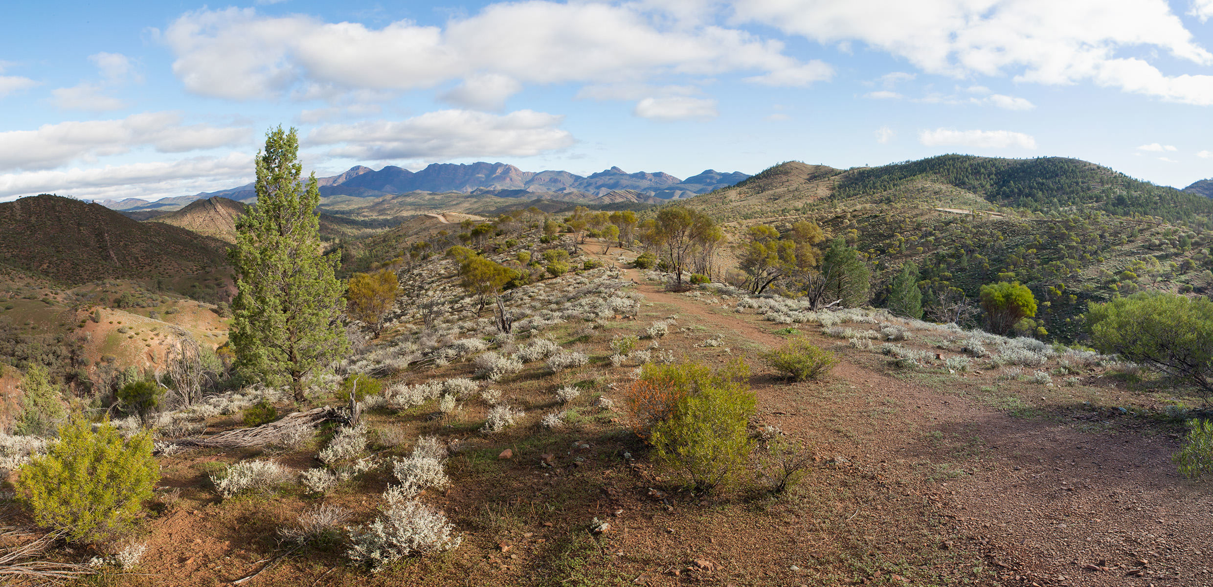 Department for Environment and Water - Biodiversity