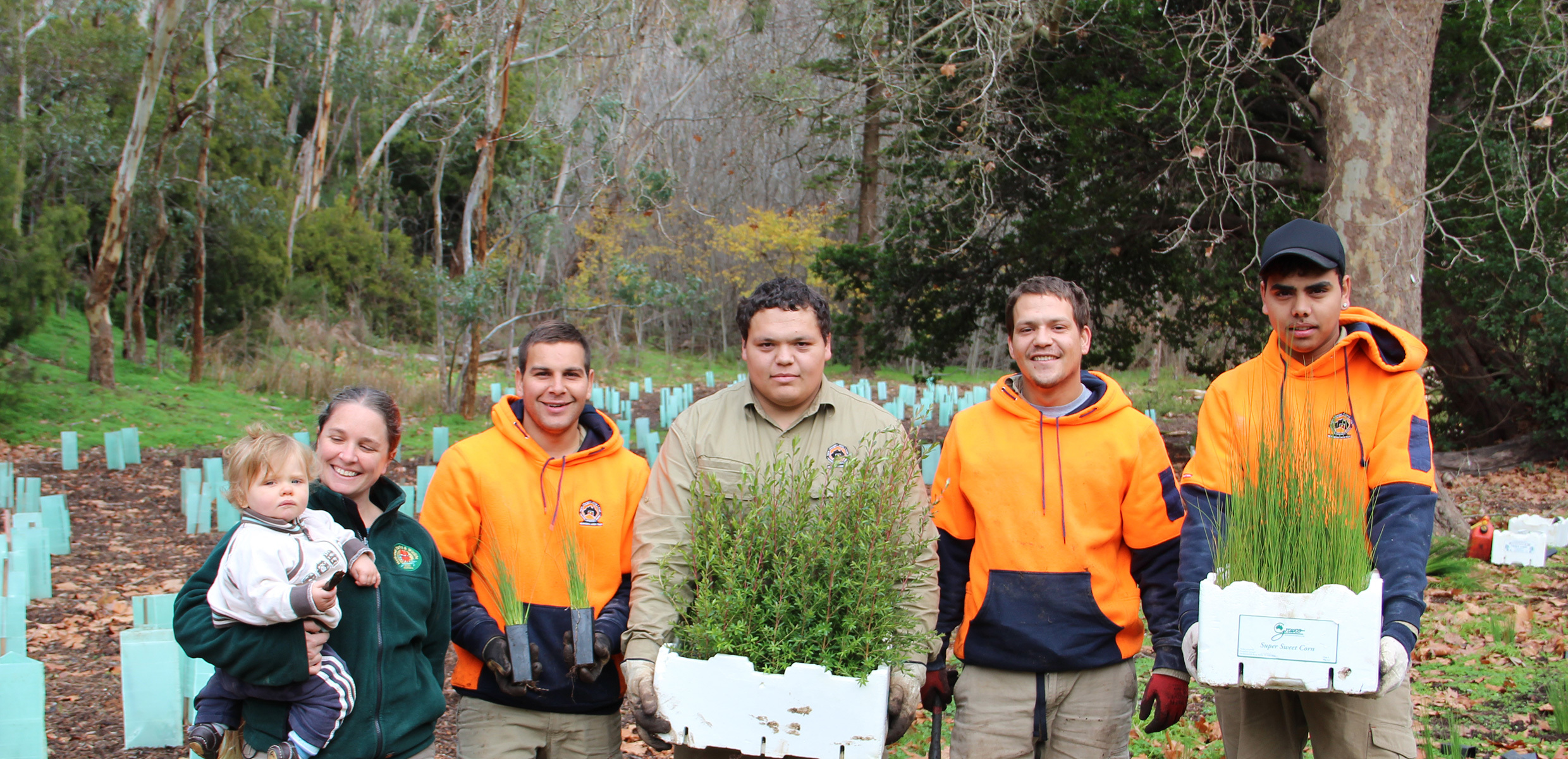 Department for Environment and Water - Get involved