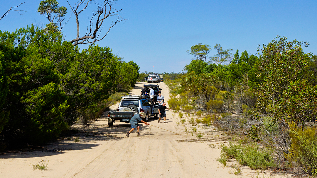 Department for Environment and Water - Record funding for volunteers…