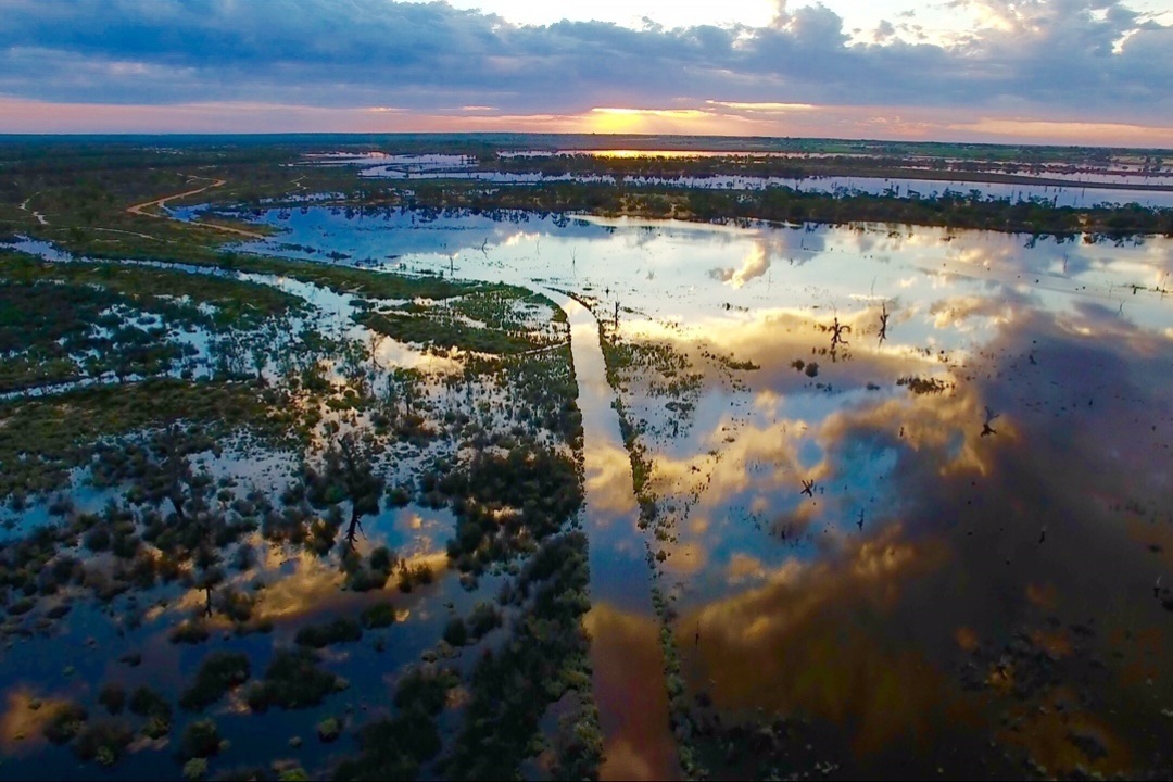 Department for Environment and Water - Water for the Katarapko…