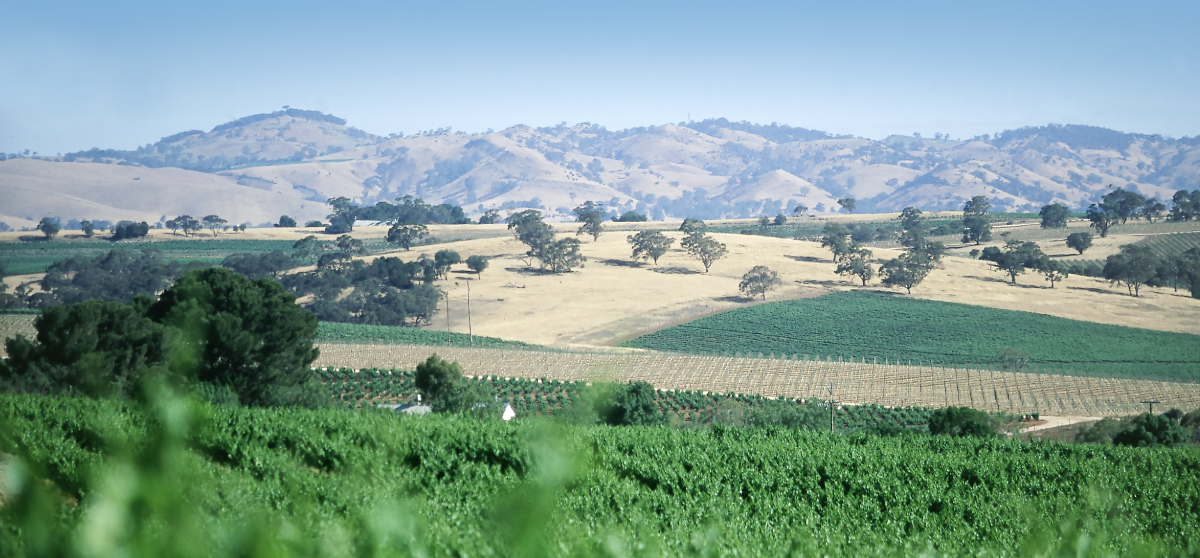 Department for Environment and Water - Changing how we manage our…