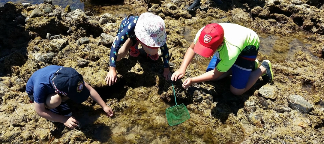 Department for Environment and Water - Explore and learn