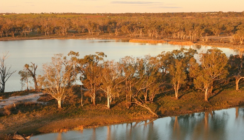 Department for Environment and Water - Carryover for the River Murray…