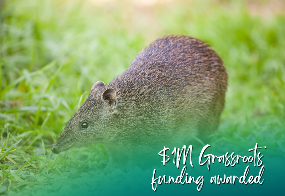 $1M grassroots funding awarded including to support injured wildlife ...