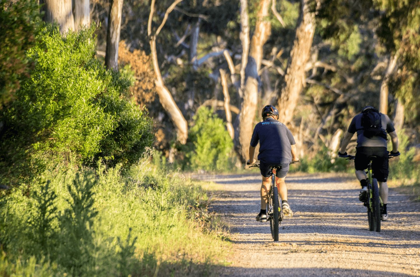 News | Green Adelaide