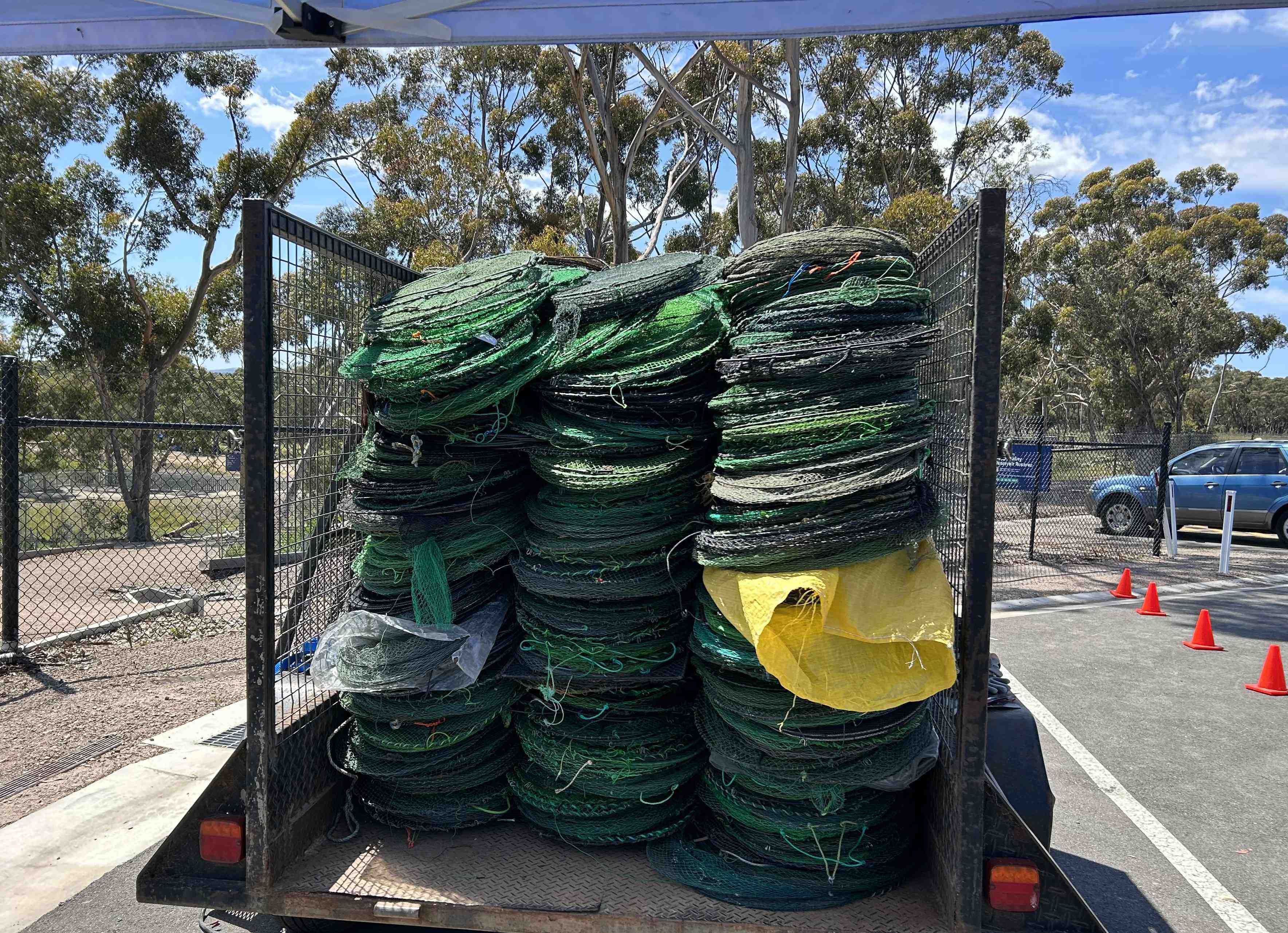 Opera house nets removed from SA waterways | Green Adelaide