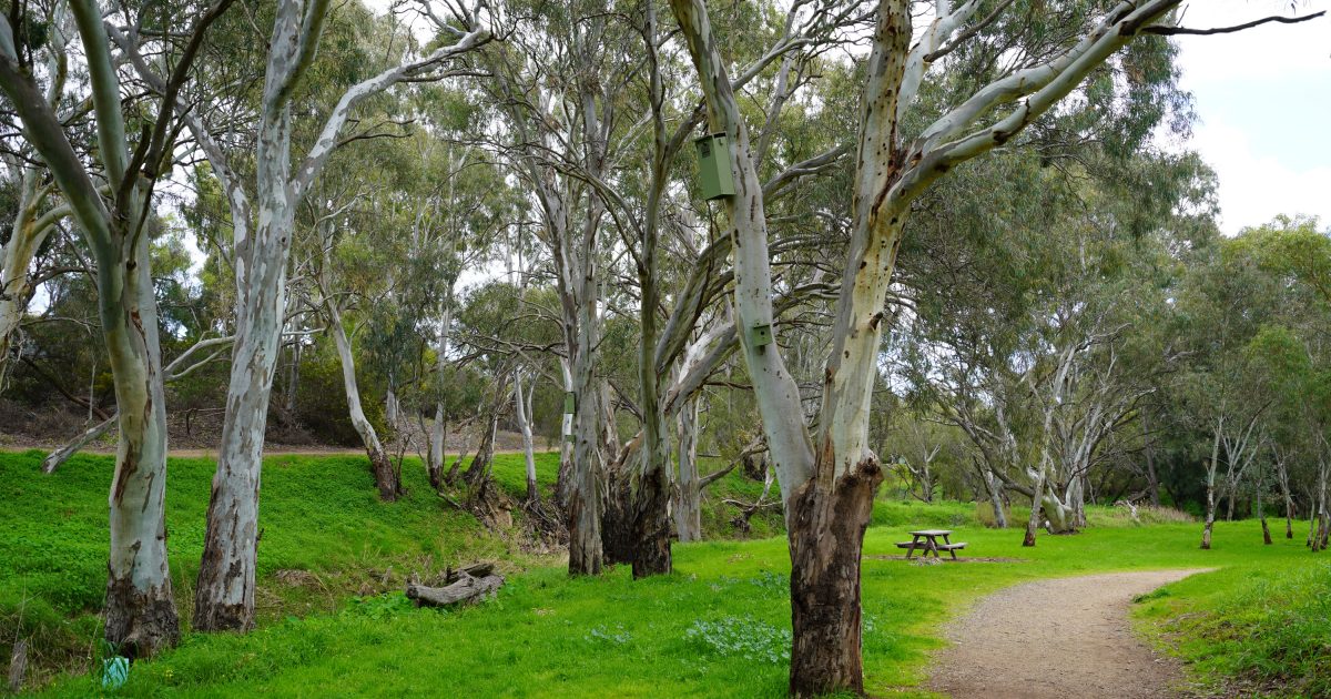 Helpful information | Green Adelaide