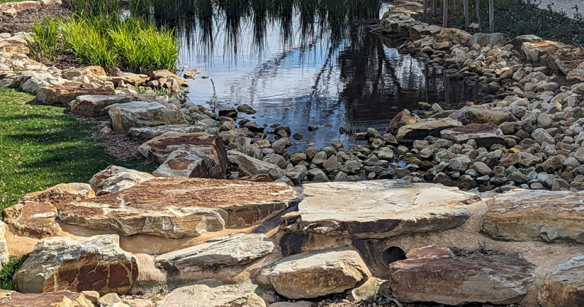 Cooler, Greener, Wilder | Green Adelaide