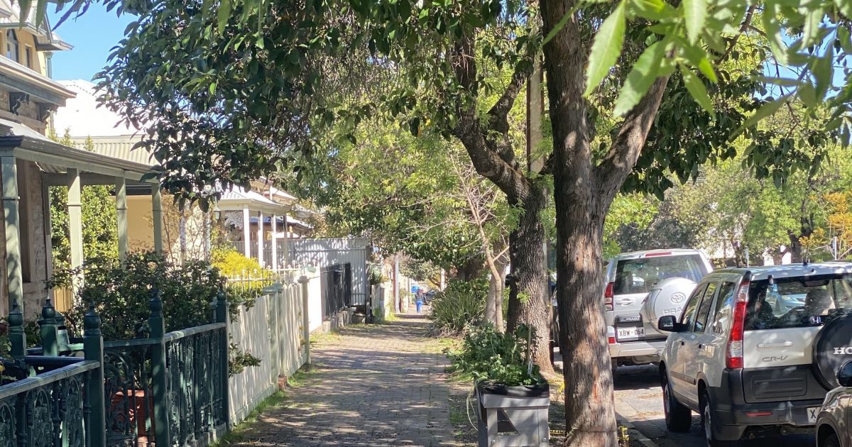 Kent Town community group greens public street | Green Adelaide