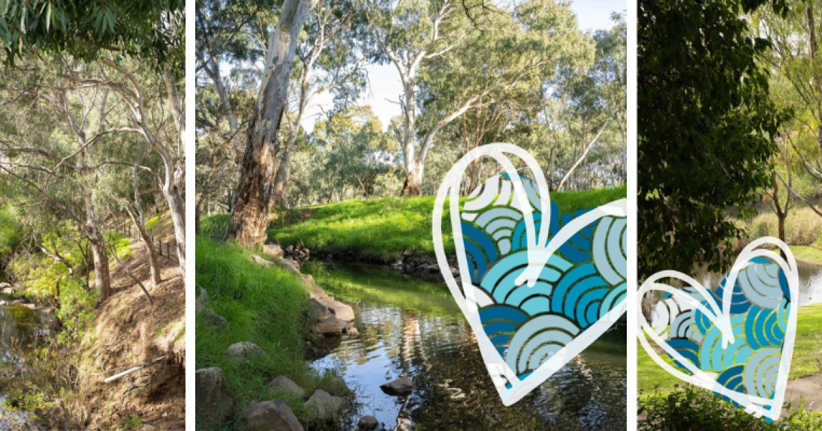 5 reasons we love Adelaide’s River Torrens /… | Green Adelaide