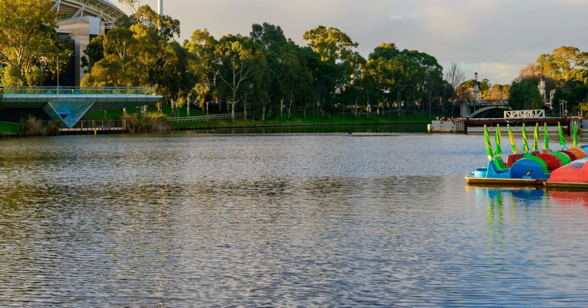 Managing blue-green algae in Torrens Lake | Green Adelaide