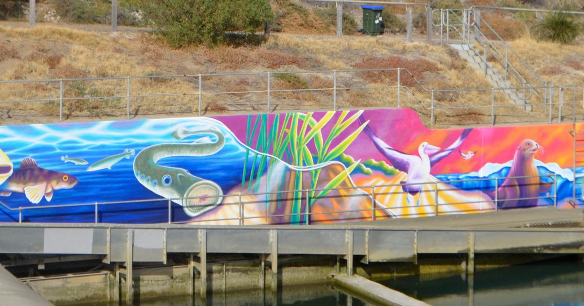 Discover 7 things in Adelaide’s newest mural | Green Adelaide
