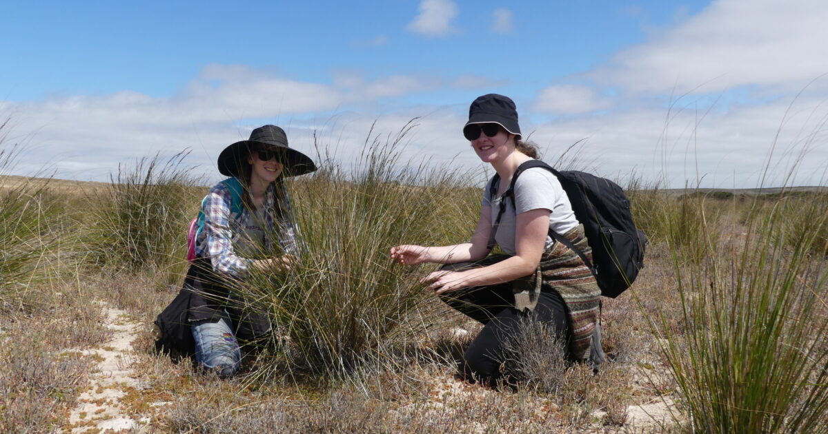 My group needs volunteer support | Green Adelaide