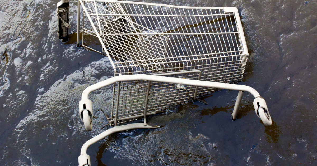 5 unusual things found in the River Torrens /… | Green Adelaide