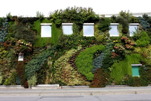 Urban Greening Strategy for Metro Adelaide | Green Adelaide