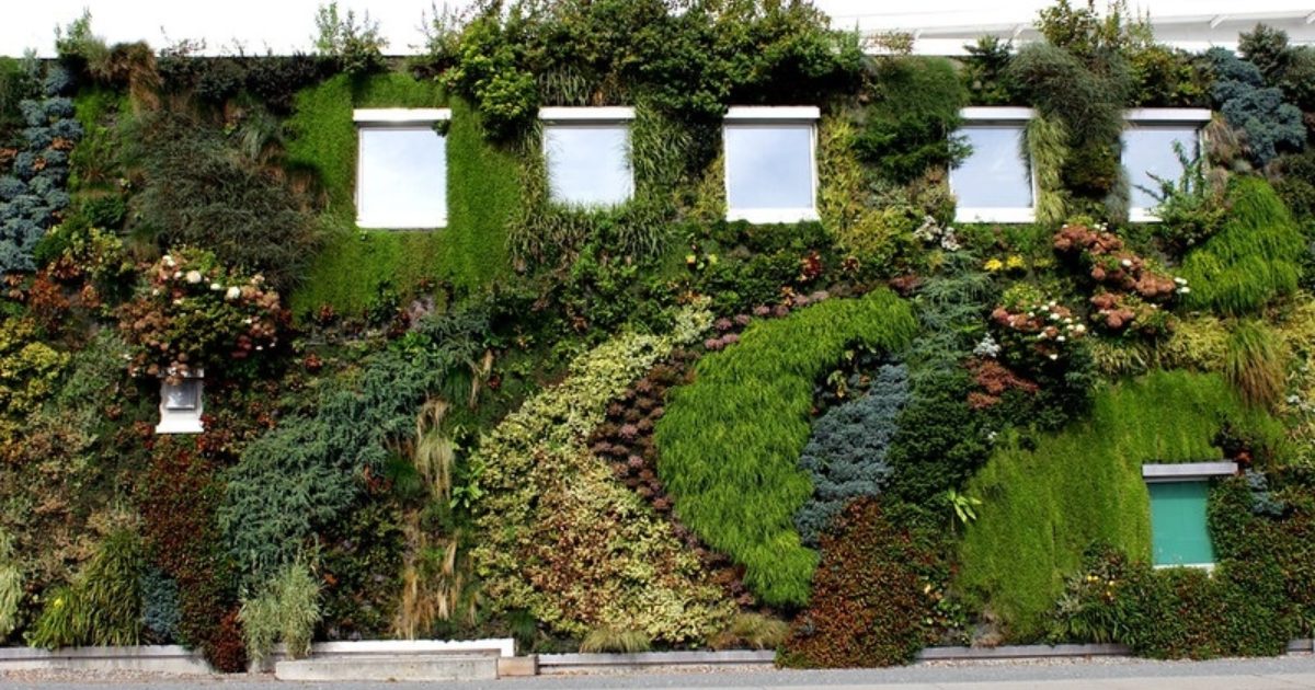 5 ways to make your home greener for the greater good | Green Adelaide