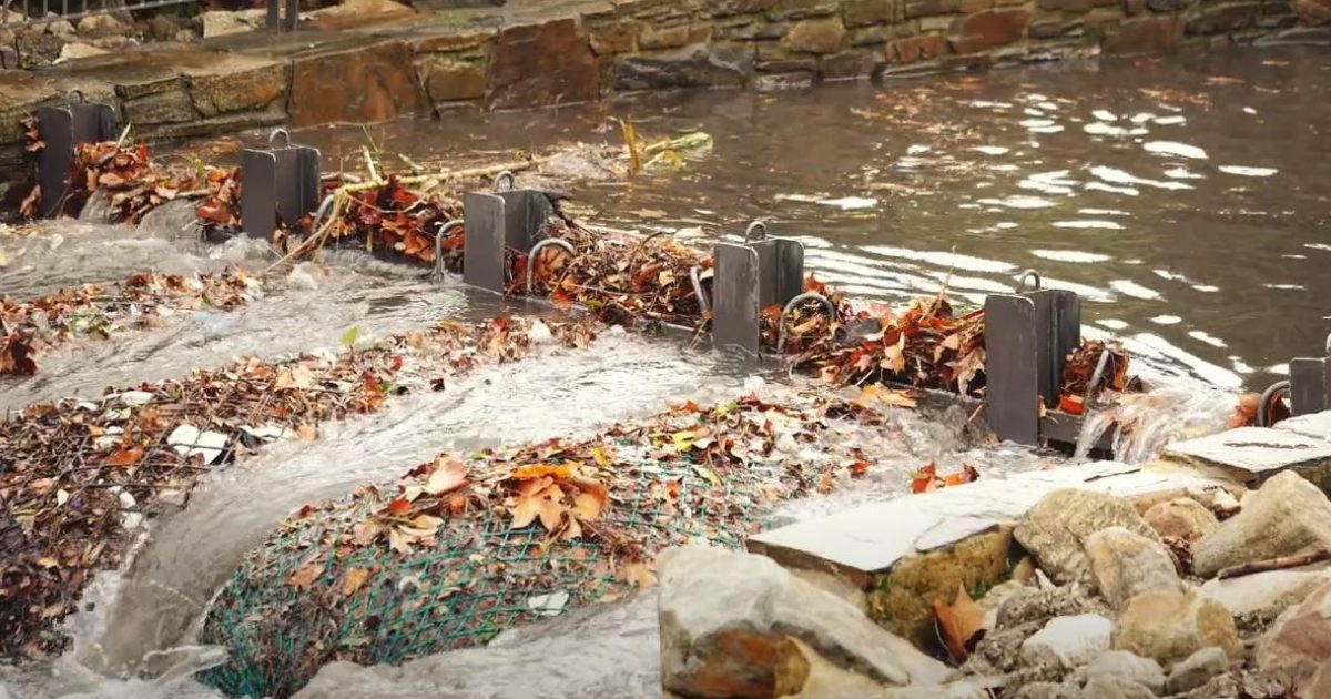 ANSWERED: Why is there trash in the River Torrens? | Green Adelaide